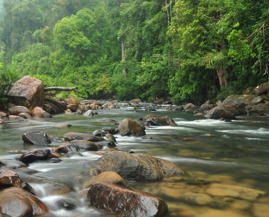 Pahang gazettes Lubuk Yu state park forest | Scoop