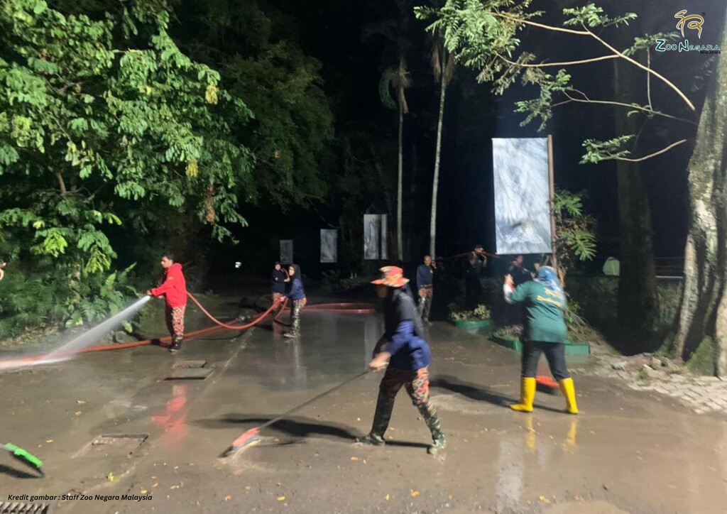 Environment ministry to get full report on flash flood at Zoo Negara ...