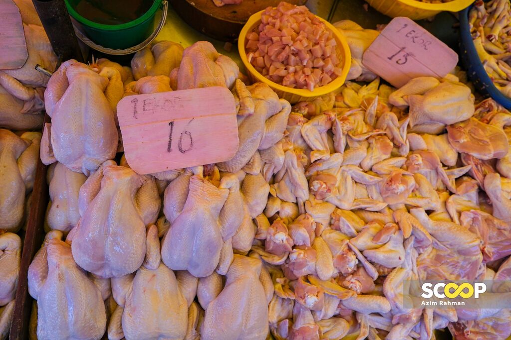 Apungan harga ayam: RM9.40 hingga RM9.60, itulah sewajarnya | Scoop