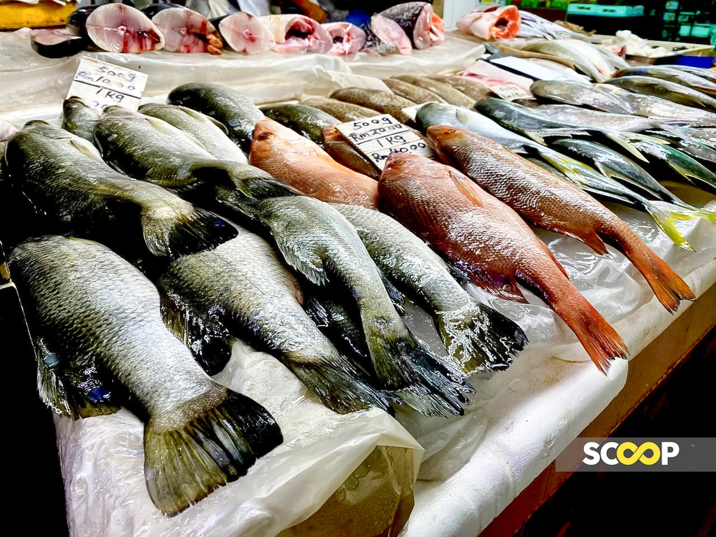 Wet market fish prices in Klang Valley dip due to lower demand | Scoop