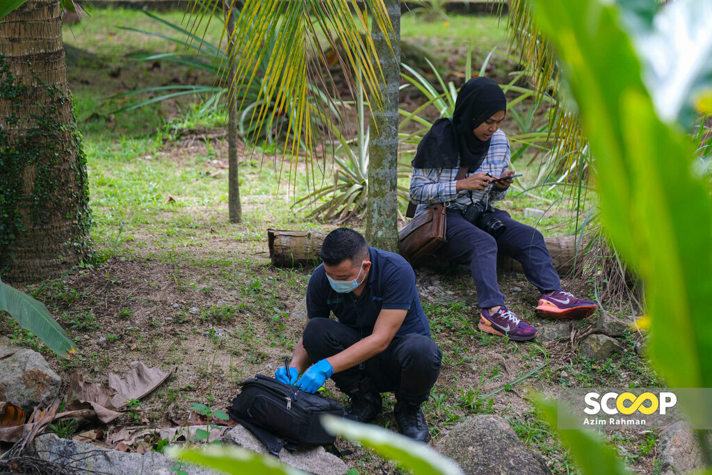 Zayn Rayyan murder: cops to take witness statements, could quiz parents ...