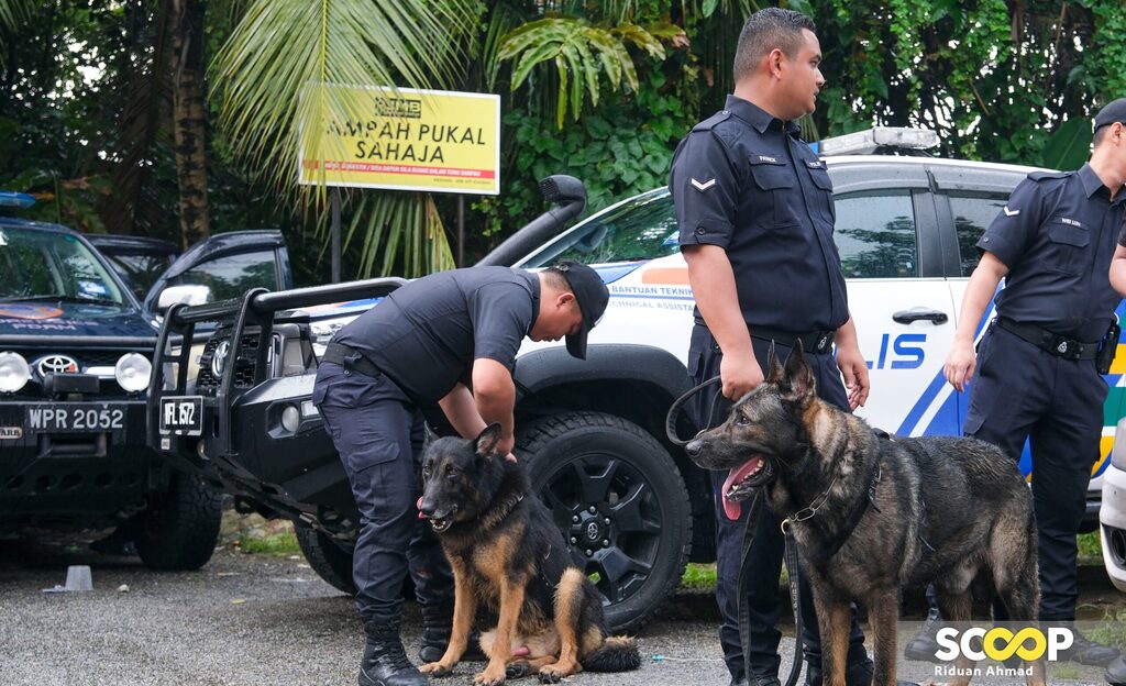Kes Zayn Rayyan: Polis bawa anjing K9, cari bukti baharu | Scoop
