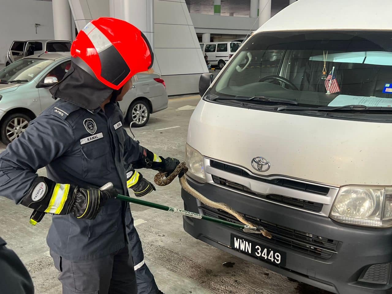 A different kind of guest: snake sneaks into engine of van parked at ...