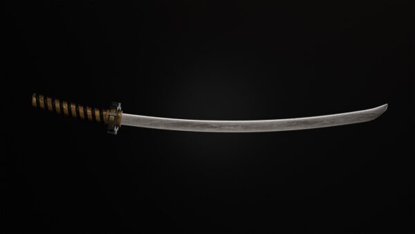 Shocking katana attack in Melaka leaves woman with severed hand artery ...