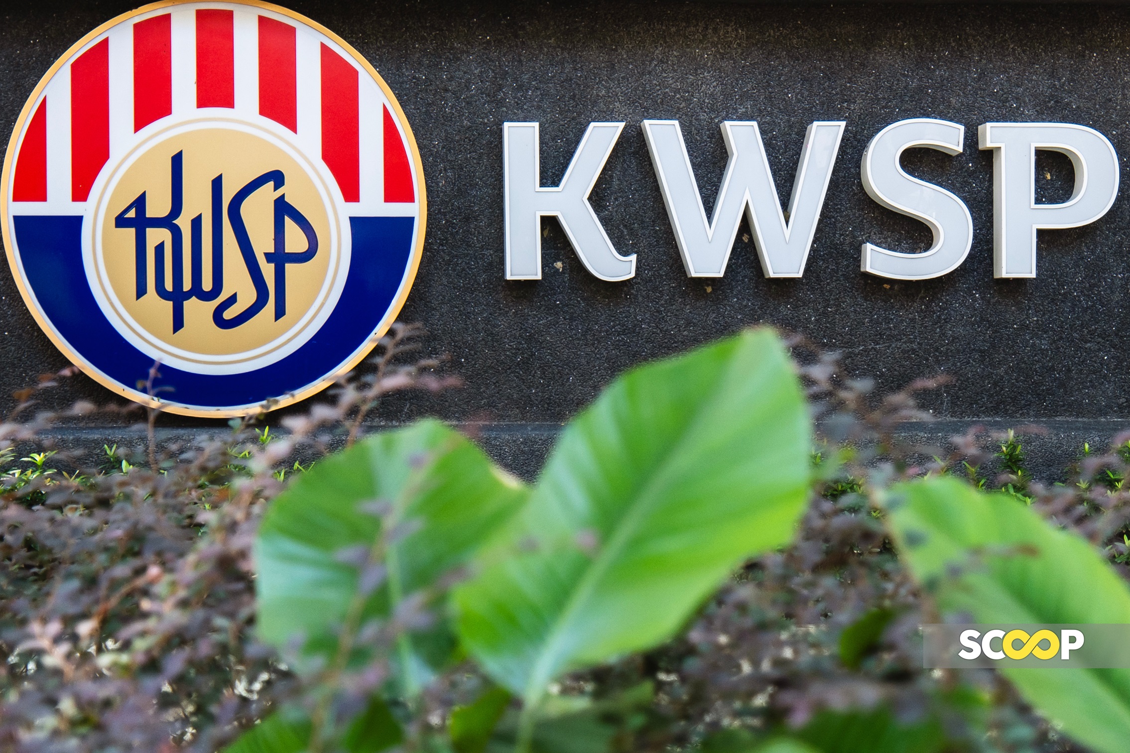 Higher EPF dividend is the fruit of strategic investments: economists ...