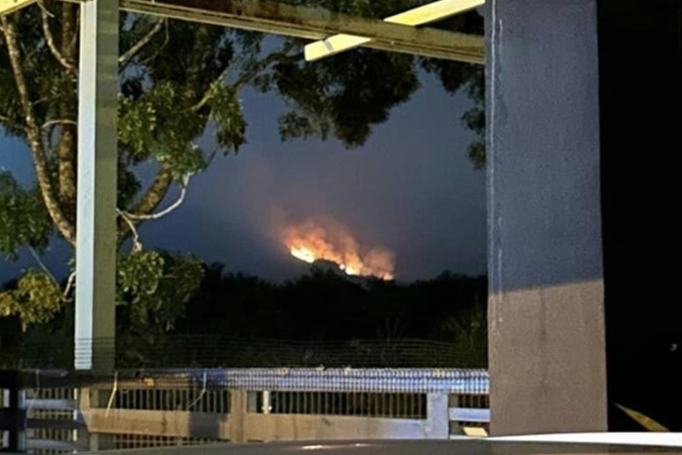 Fire at Bukit Broga destroys 0.8ha of forest | Scoop