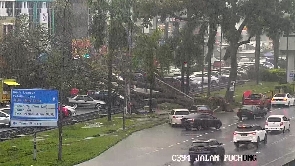 Another huge fallen tree damages seven cars near Jalan Puchong’s AmBank ...