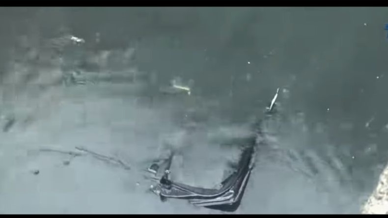 Johor Bahru crash: three, including siblings, killed as Toyota Alphard ...