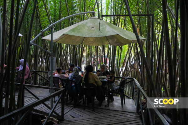 Taste of Perlis: unveiling the flavours of Malaysia's northern gem | Scoop