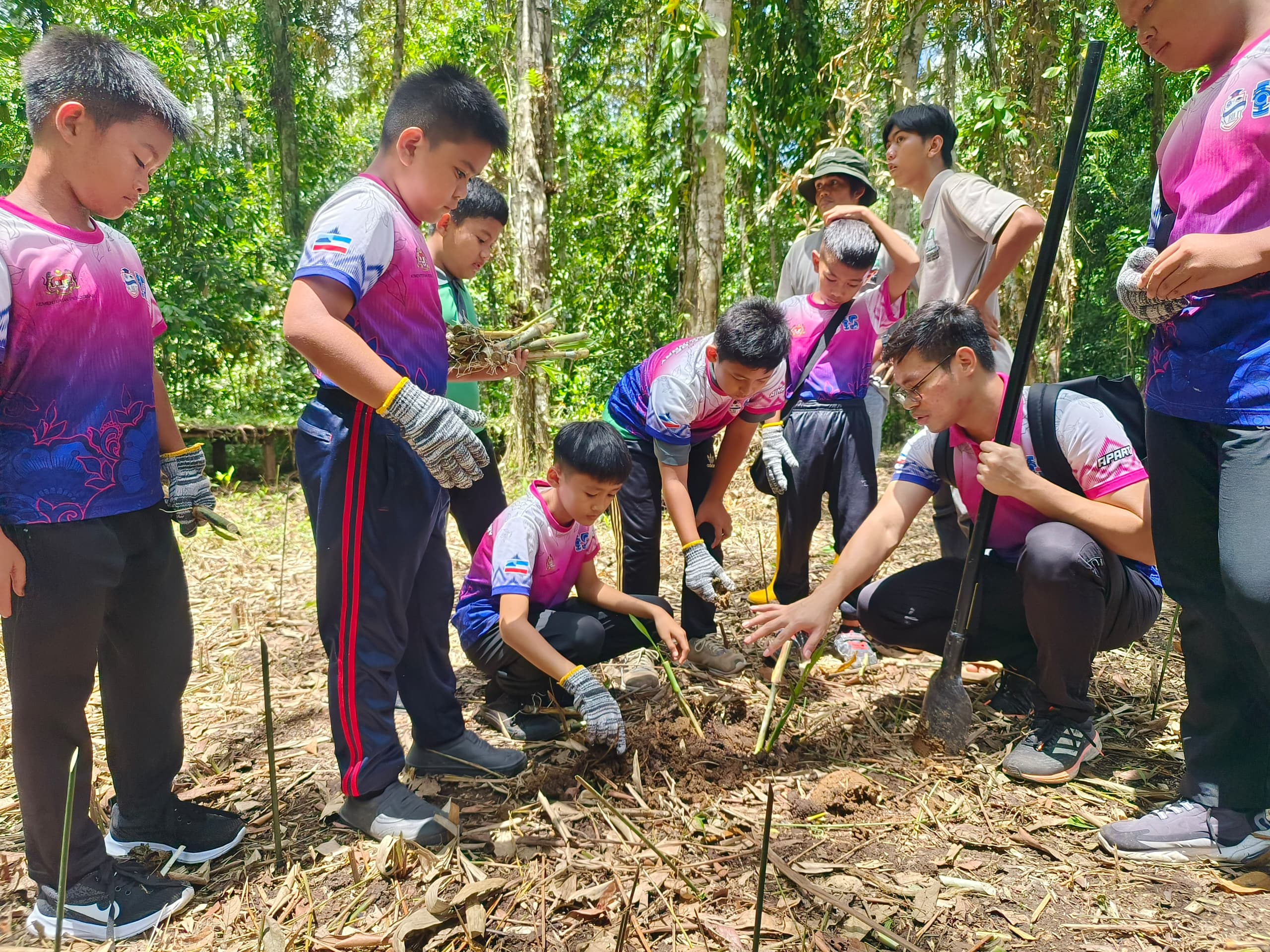 Respecting and protecting elephants, one blade of grass at a time | Scoop