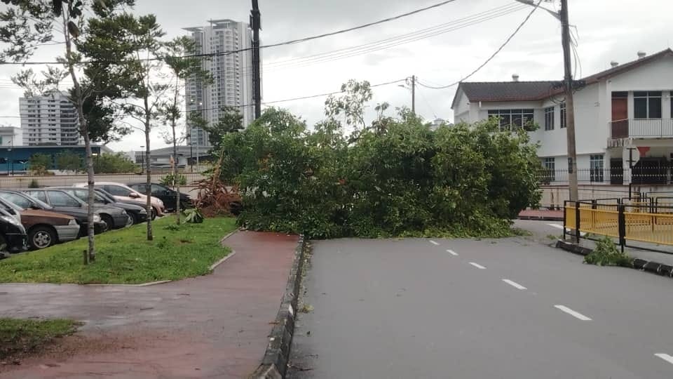 Heavy downpours, strong winds cause flash floods, uproot trees in ...
