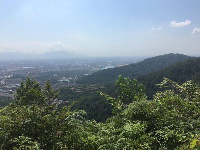 Forestry Dept targets 50% drop in missing hikers with Nepal rescue ...