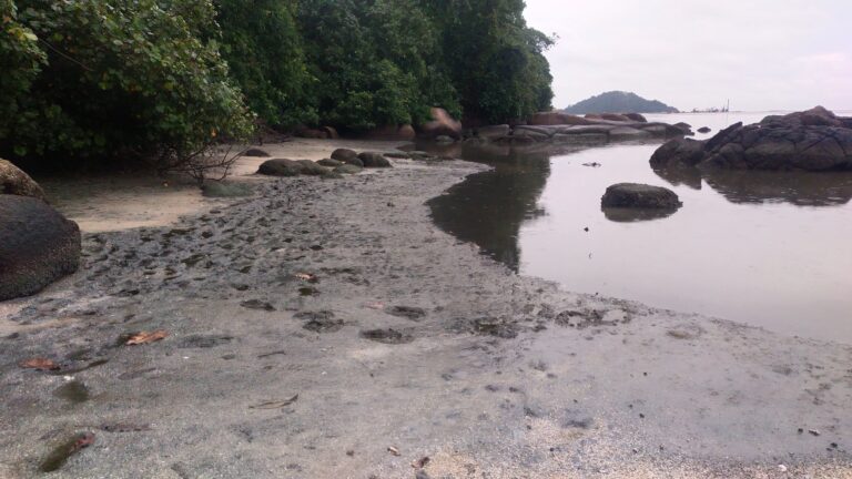 Thick silt, smelly beach: deliver promise to clean Pantai Esen, locals ...