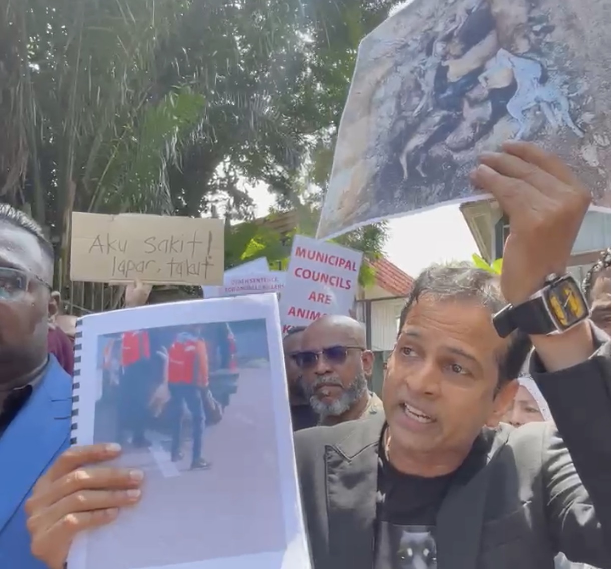 ‘Justice for Kopi’ animal groups want change to local councils ...