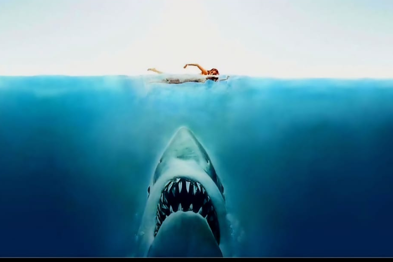 Jaws of life: Lessons from a 50-year-old killer shark - Terence Fernandez | Scoop