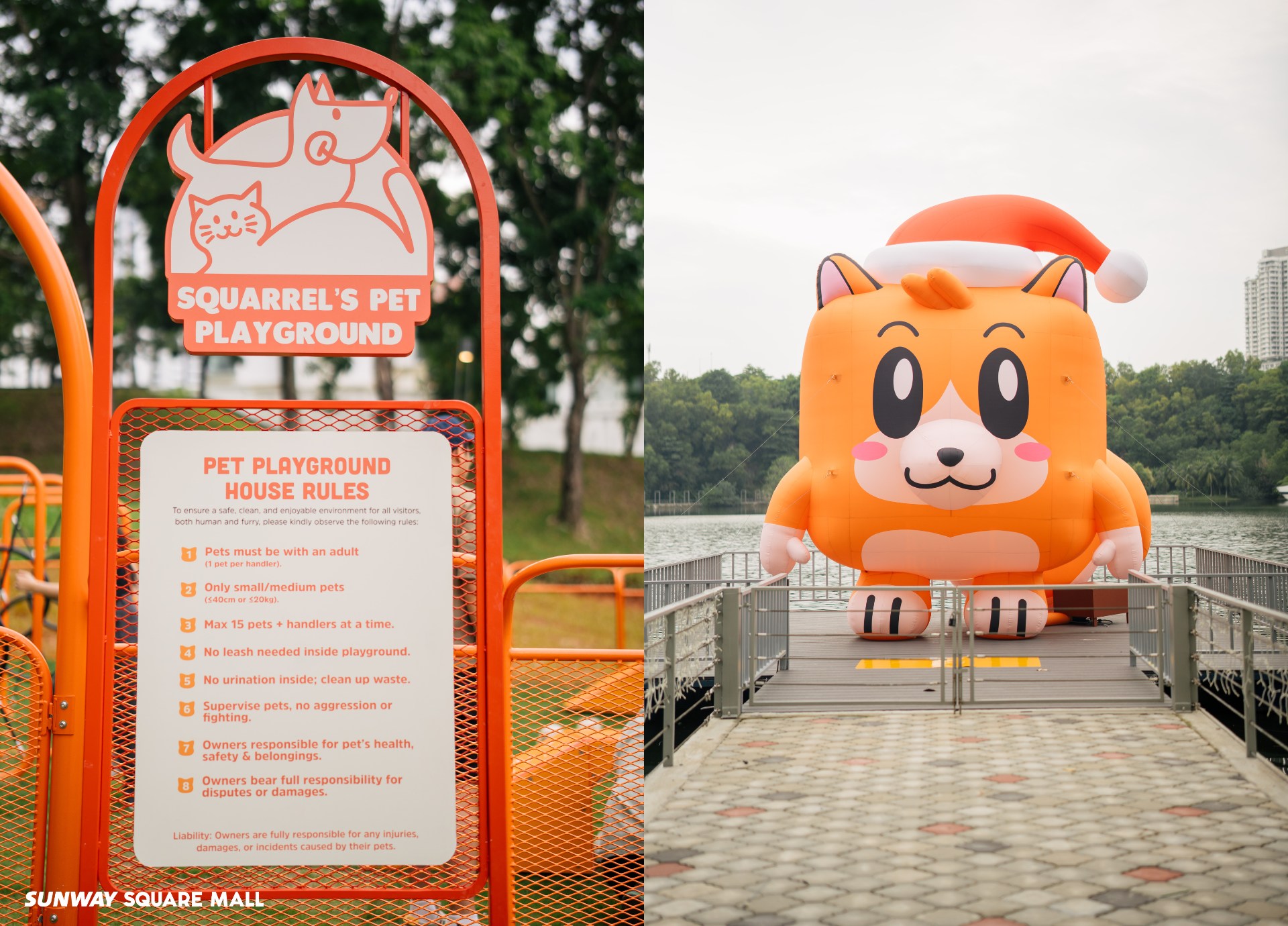 Sunway Square Mall scales back pet-friendly policy amid hygiene ...