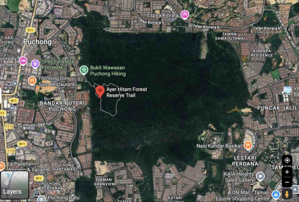Ayer Hitam Forest Reserve: Puchong's biodiversity hotspot faces ...